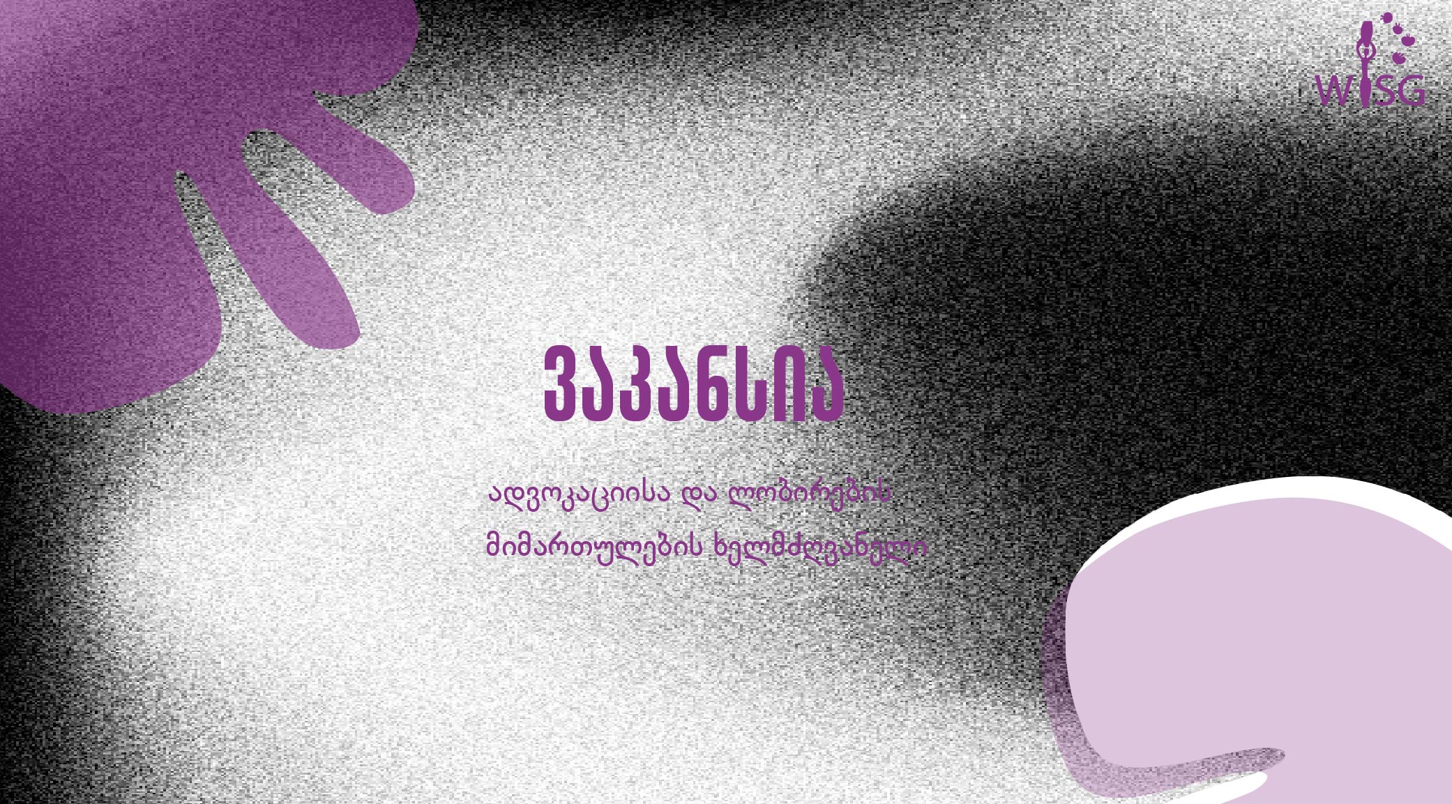 ქალთა ინიციატივების მხარდამჭერი ჯგუფი